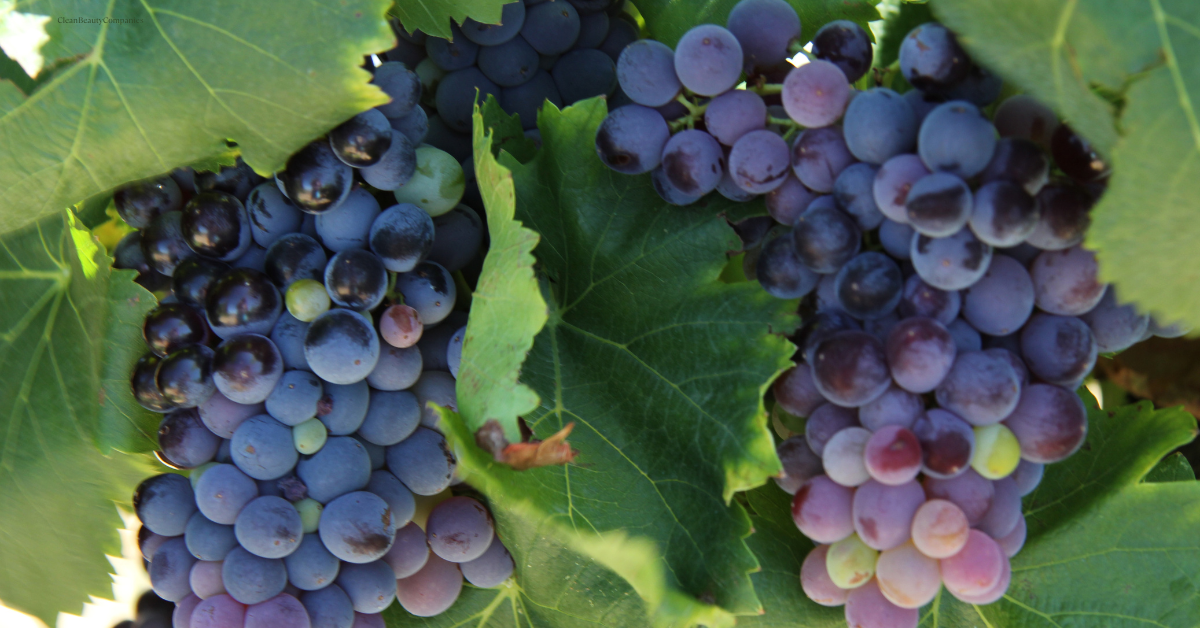 Beau Domaine: Biotech Skincare - Clean Beauty Cōs.